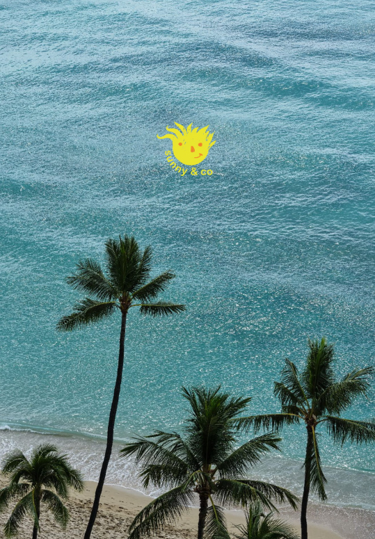 Catalog | Sunny＆Company